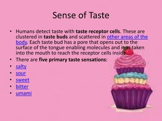 My presentation | PPT