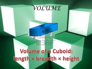 SURFACE AREA AND VOLUME PPT BY GAGAN PRASAD | PPT