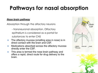 NASAL DRUG DELIVERY BY USING THERMOREVERSIBLE GEL | PPT