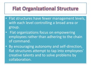 Organization Structure | PPTX