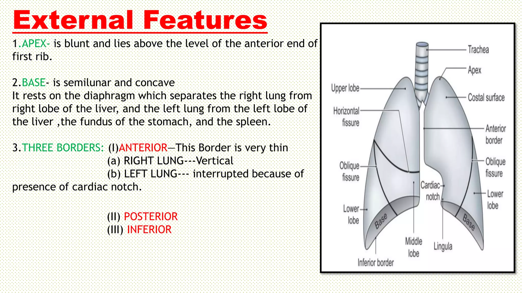 MY PRESENTATION.pptx