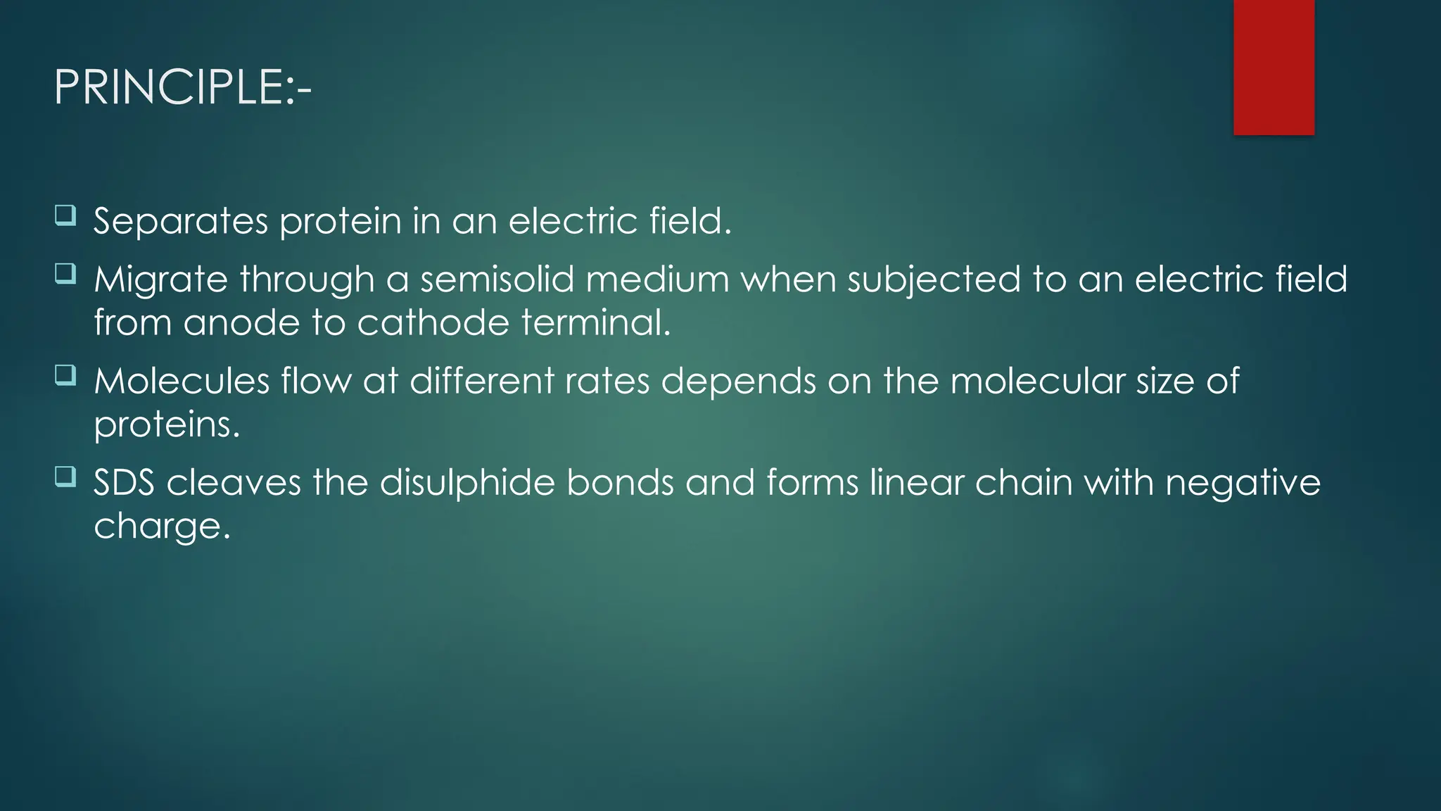2D GEL ELECTROPORESIS FOR PROTEIN ANALYSIS | PPTX