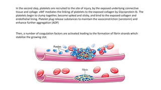 Approach to the adult with bleeding disorder | PPTX