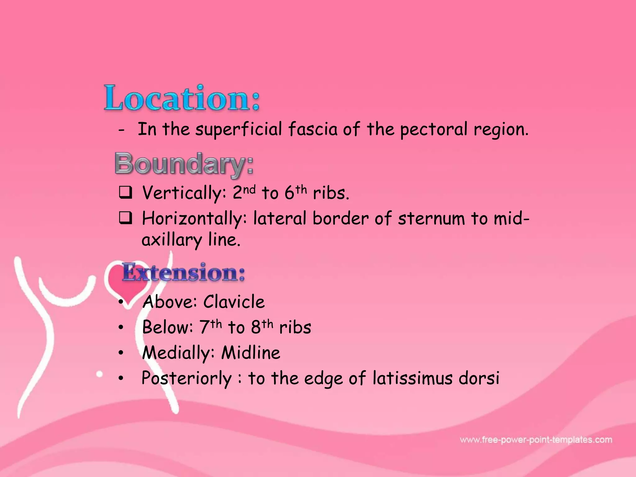 anatomy of breast | PPTX