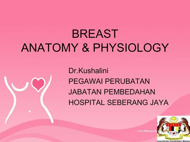anatomy of breast | PPTX