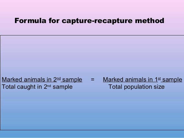 Population ecology and human impact