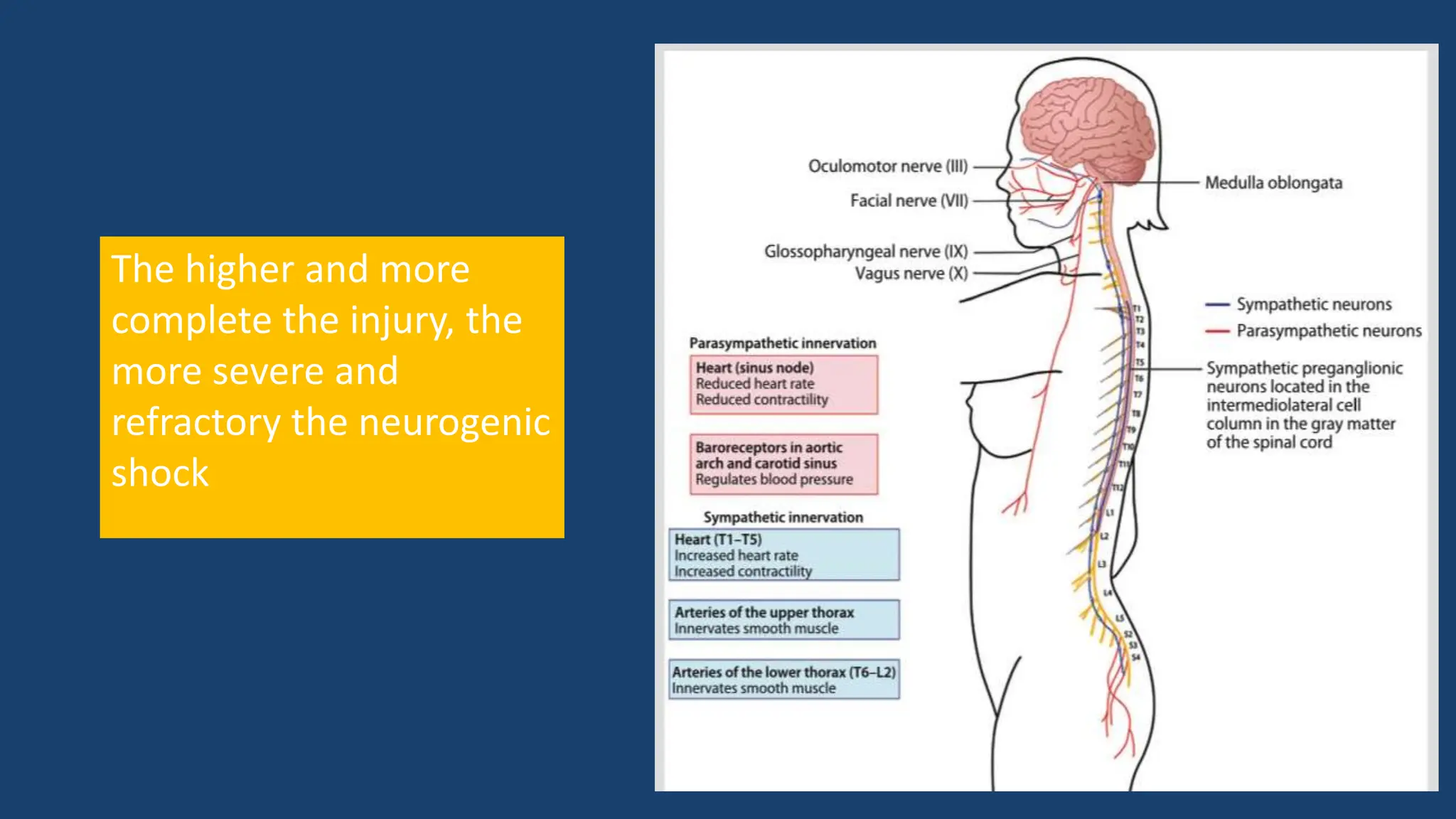 Spinal cord injury: Immediate management and approach.pptx