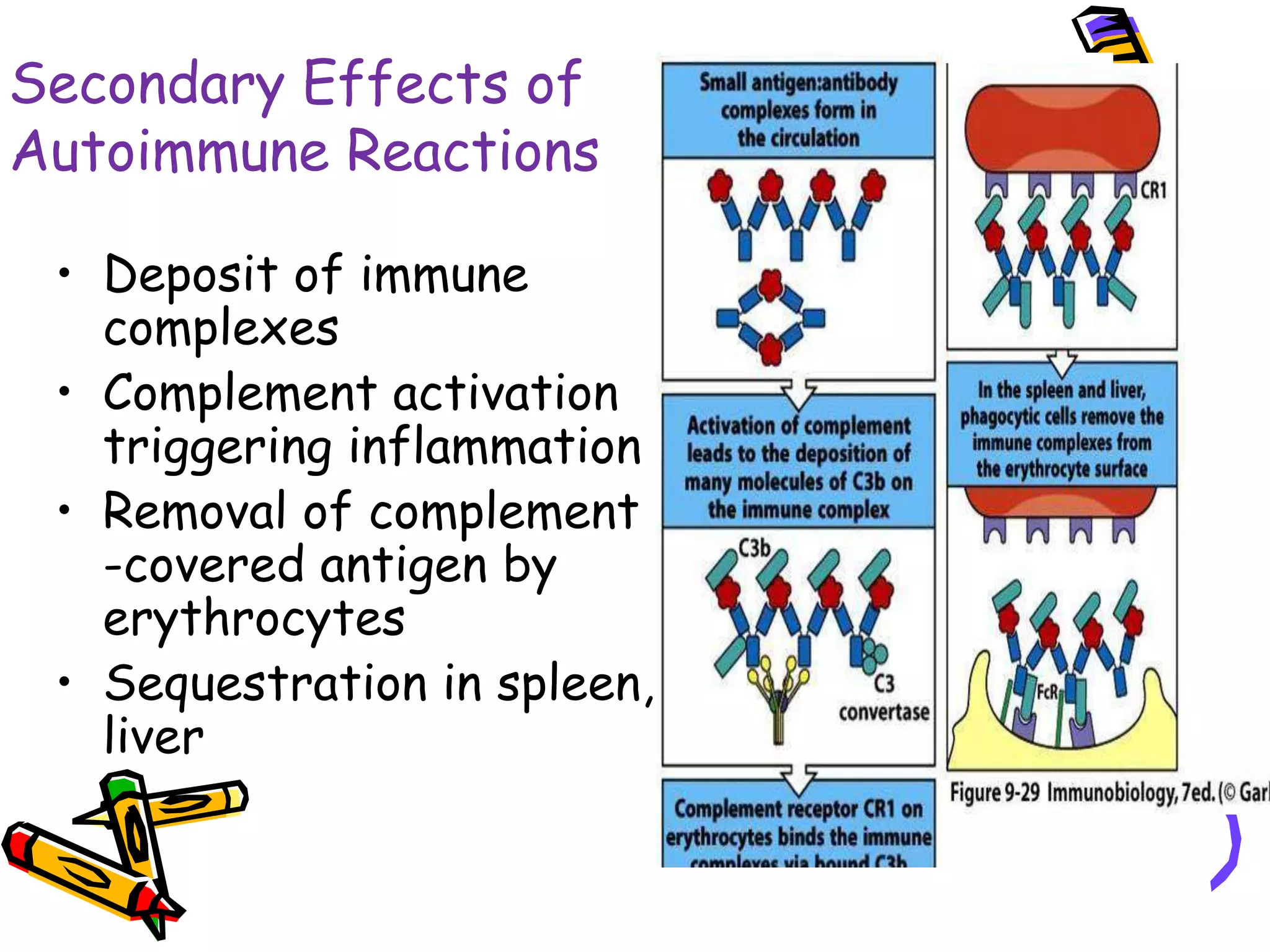 Autoimmunity and autoimmune disorders | PPTX