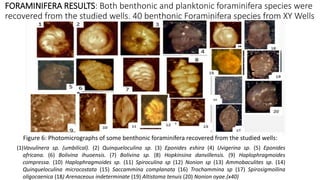 Biostratigraphy and paleoenvironment of deposition | PPTX