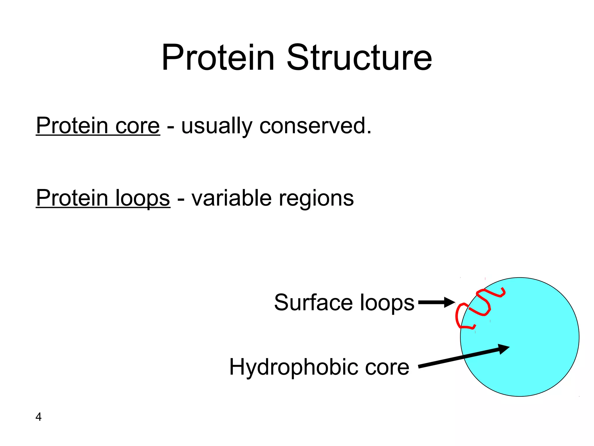 Protein Structure Databases And Structural Alignment Ppt