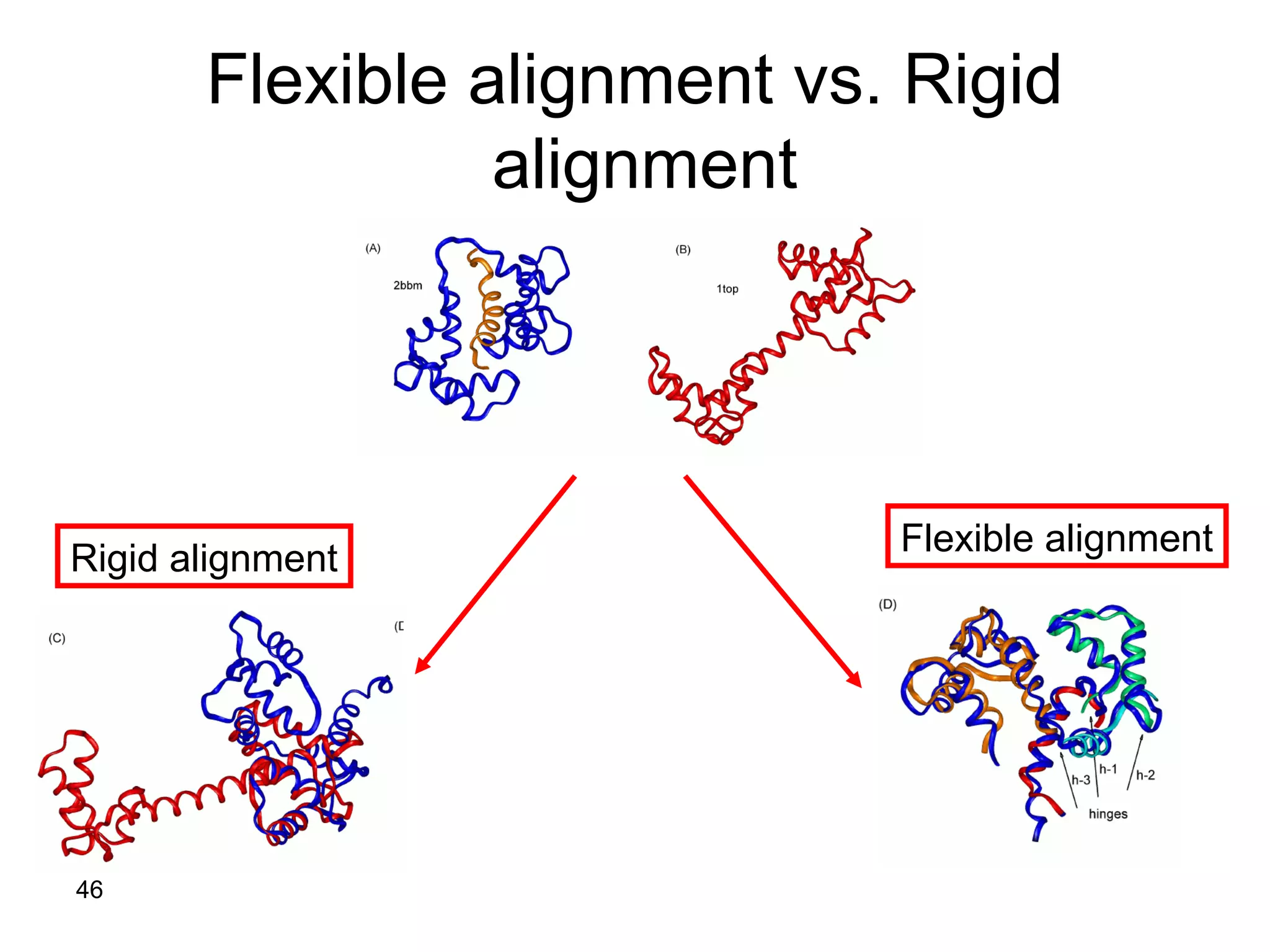 Protein Structure Databases And Structural Alignment Ppt Databases