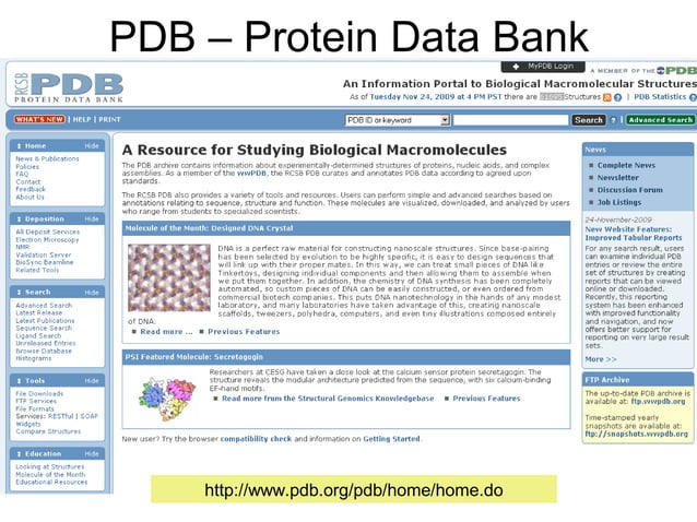 Protein Structure Databases And Structural Alignment Ppt Databases