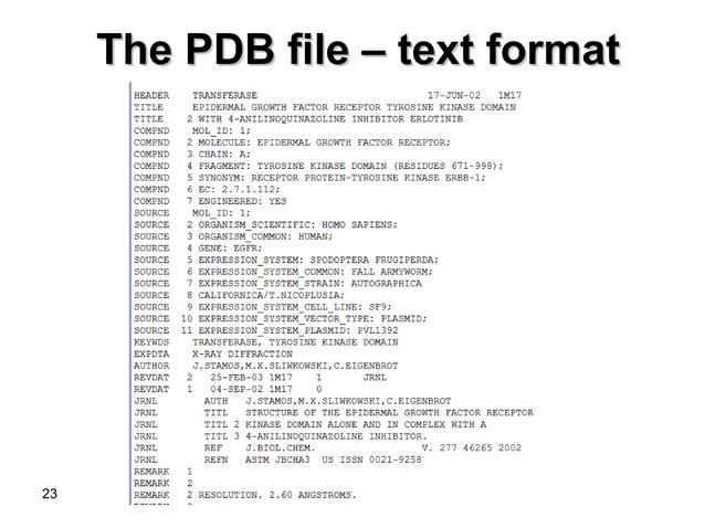 Protein Structure Databases And Structural Alignment Ppt Databases