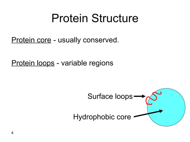 Protein Structure, Databases and Structural Alignment | PPT | Databases | Computer Software and ...