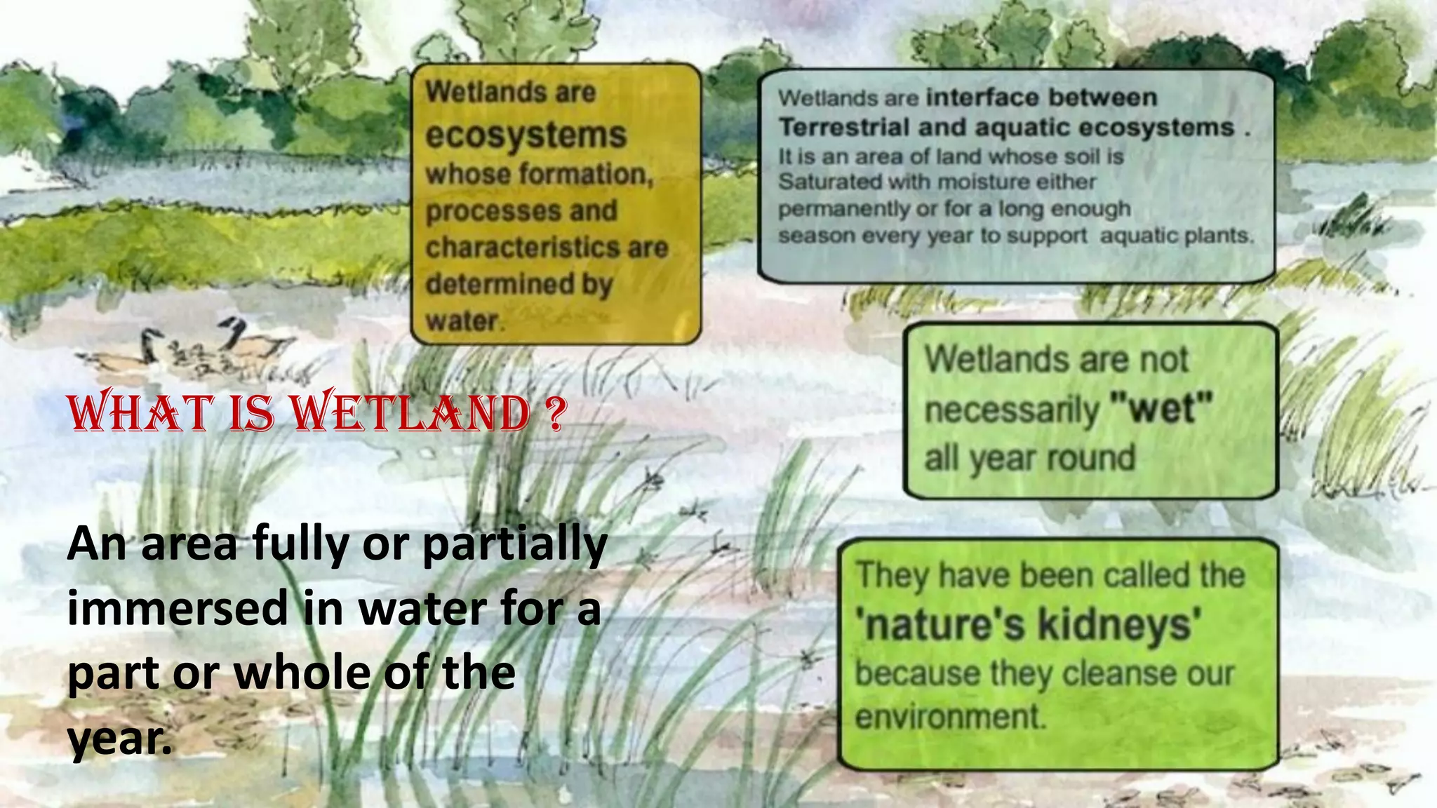 My Presentation(Ashutosh. ).pdf