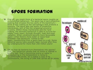 sexual and asexual reproduction | PPTX