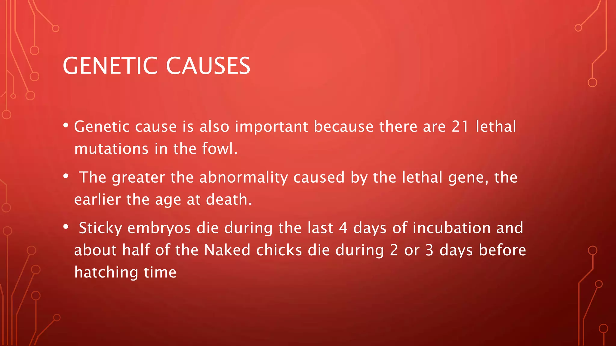 Causes And control of early chick mortality | PPTX