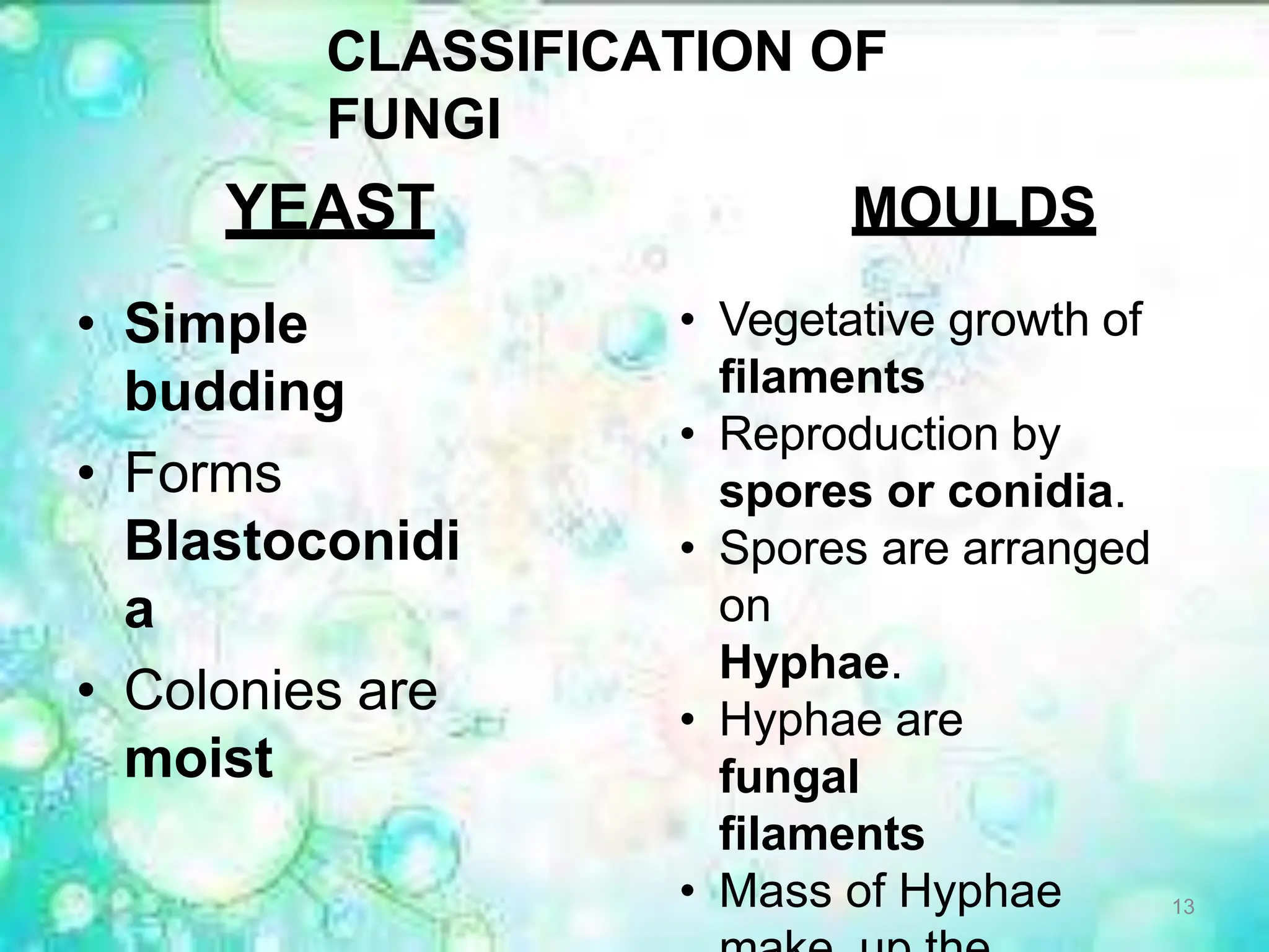 My presentation on Candida/FUNGAL INFECTIONS.pptx