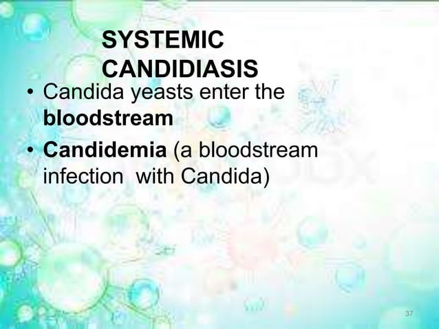 My presentation on Candida/FUNGAL INFECTIONS.pptx
