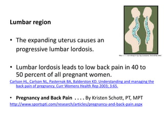 Anatomical changes in Pregnancy | PPTX