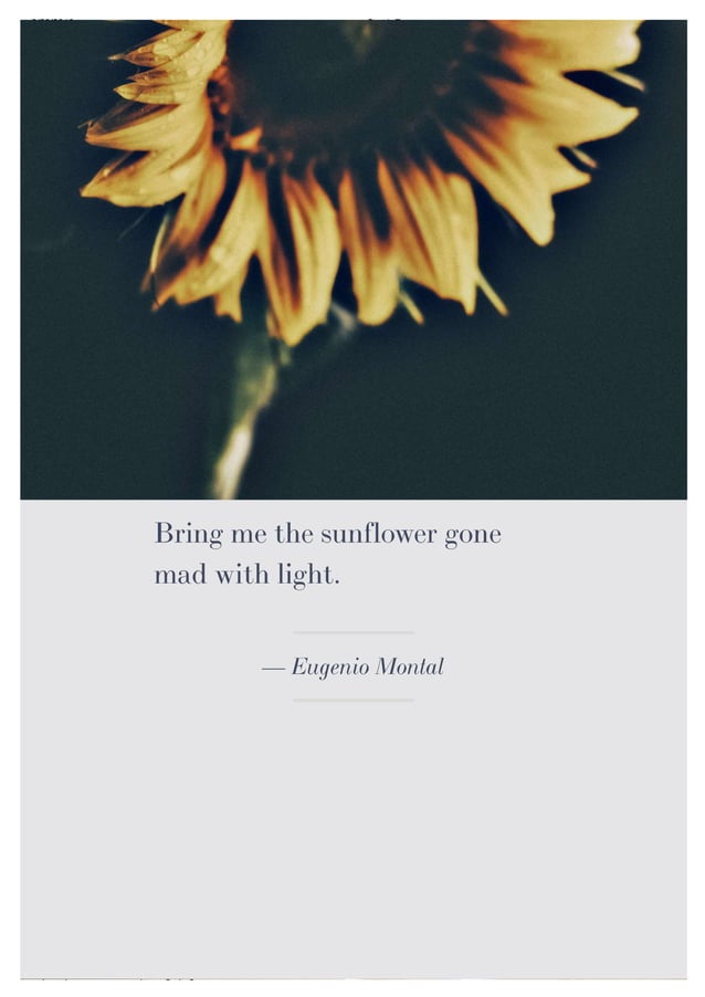 Beautiful literature quotes translated from around the world. | PDF