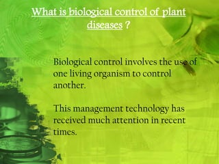 Biological Control of Plant Diseases | PPTX