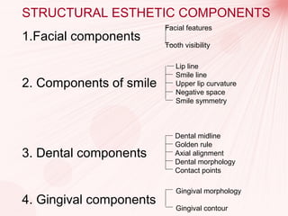 principles of smile designing dr.rinku | PPT