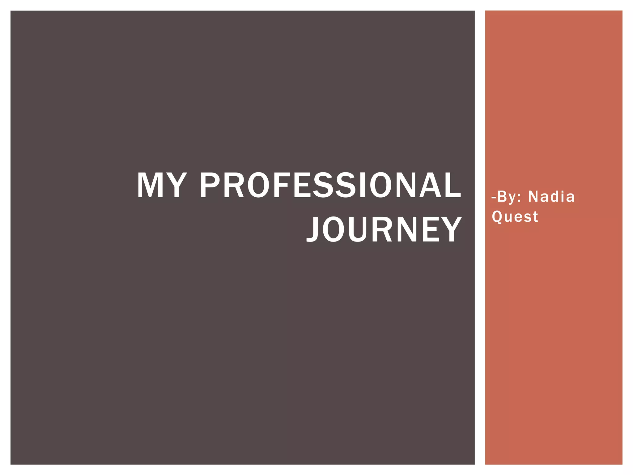 My Professional Journey Pptx