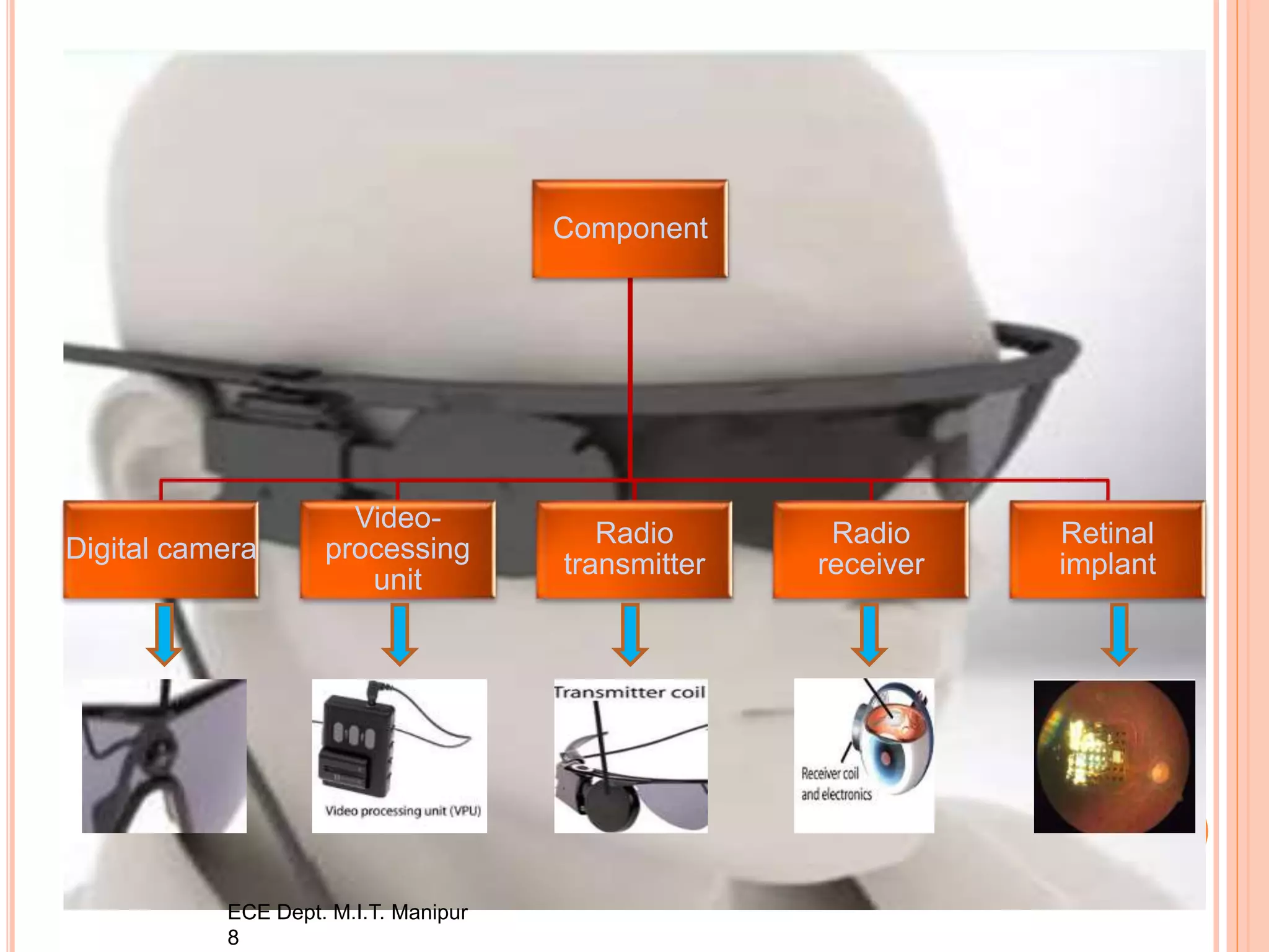 medical biometry | PPT