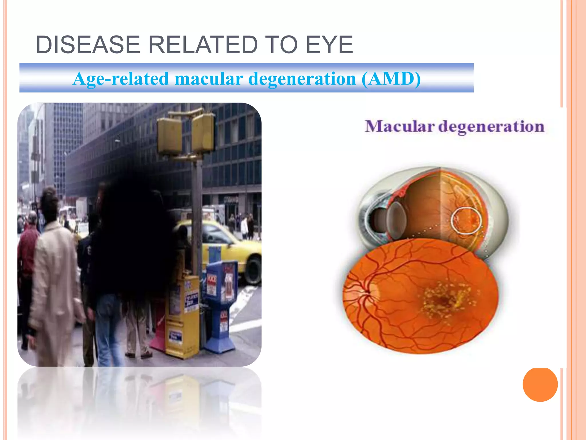 medical biometry | PPTX