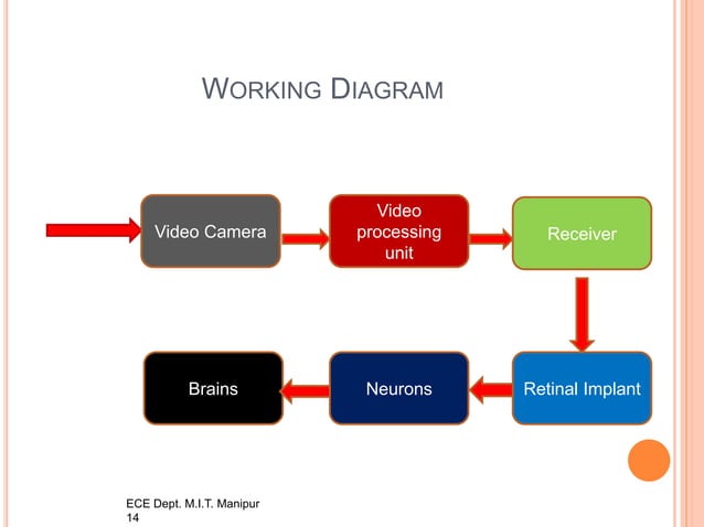 medical biometry | PPTX