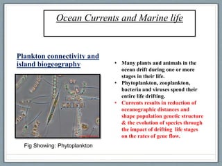 Effects of ocean currents on environment | PPTX
