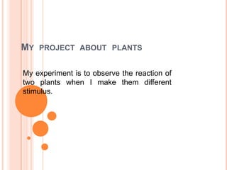 My project about plants | PPTX | Science