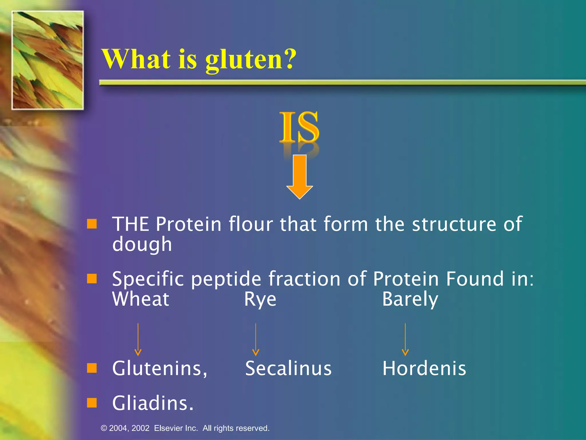 celiac disease | PPT