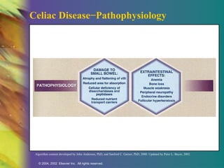 celiac disease | PPT