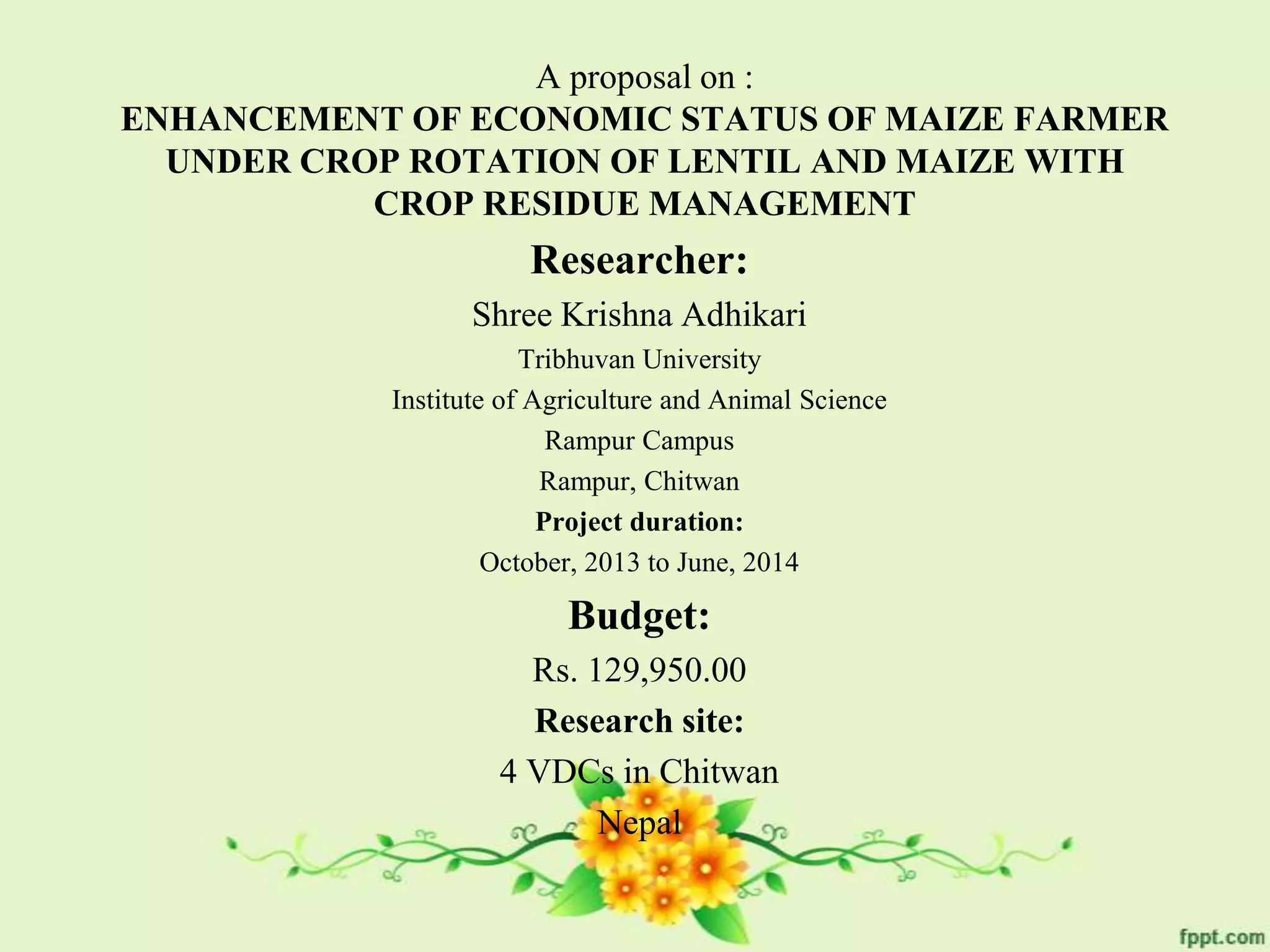ENHANCEMENT OF ECONOMIC STATUS OF MAIZE FARMER UNDER CROP ROTATION OF ...