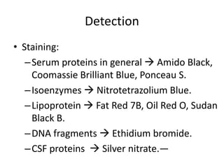 Essentials in Protein Electrophoresis | PPTX
