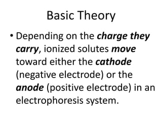 Essentials in Protein Electrophoresis | PPTX