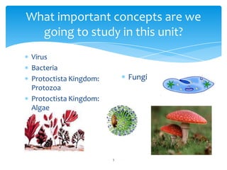 Myp unit introduction microorganisms | PPTX