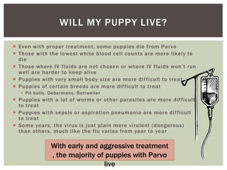 My Puppy Has Parvo! Now What? | PPTX