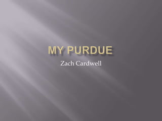 My Purdue | PPT
