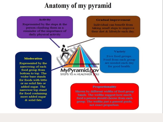 My pyramid ,my plate and Food pyramid | PPTX | Nutrition | Healthy Living