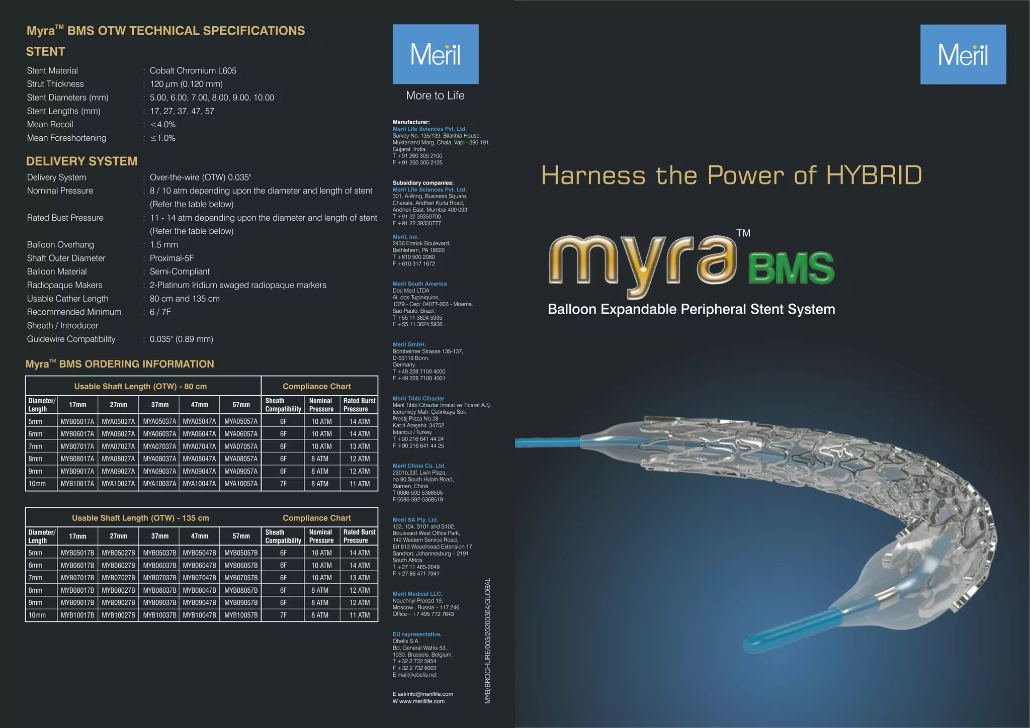 Myra bms stents | PDF