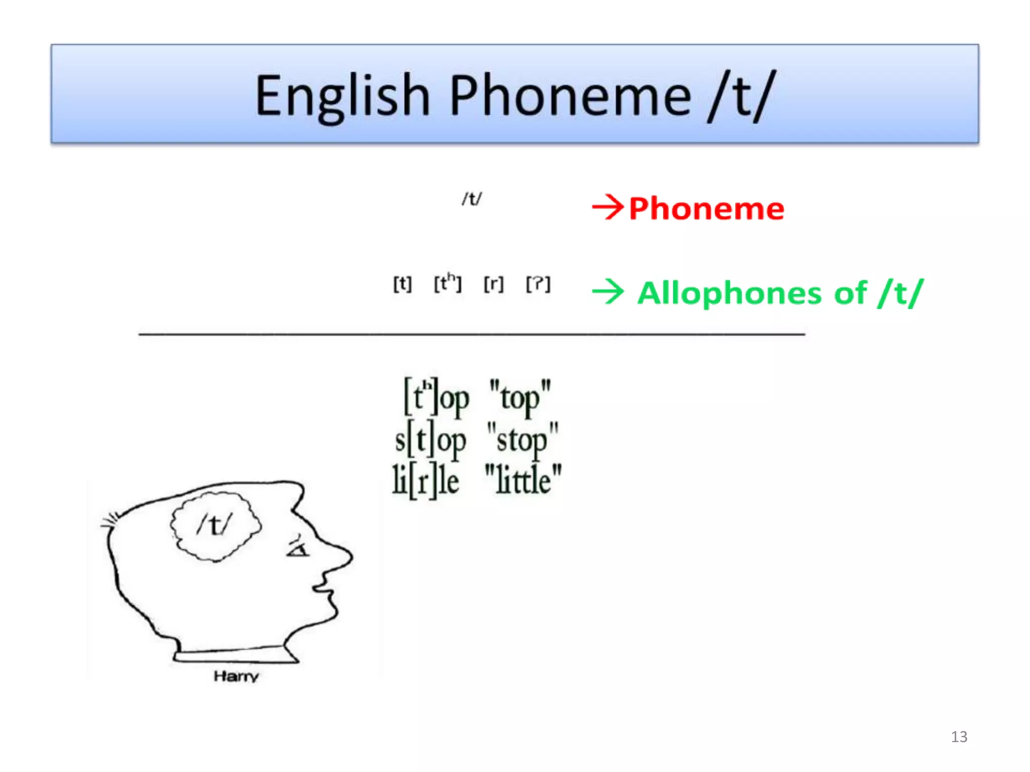 Phonology: The Sound Patterns of Language | PPTX