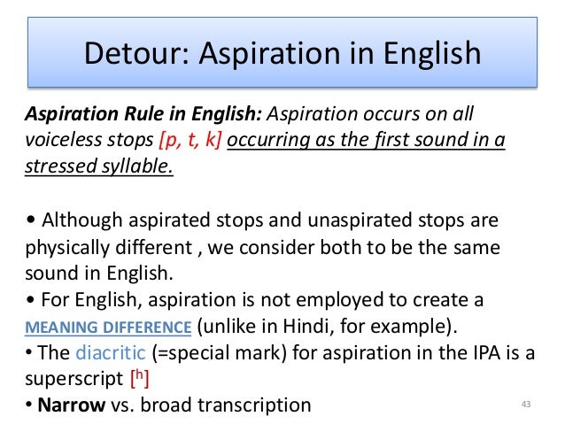Phonology: The Sound Patterns of Language