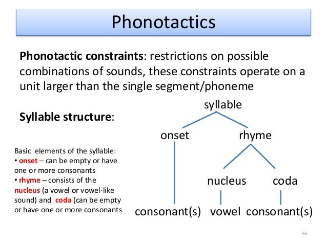 Phonology: The Sound Patterns of Language