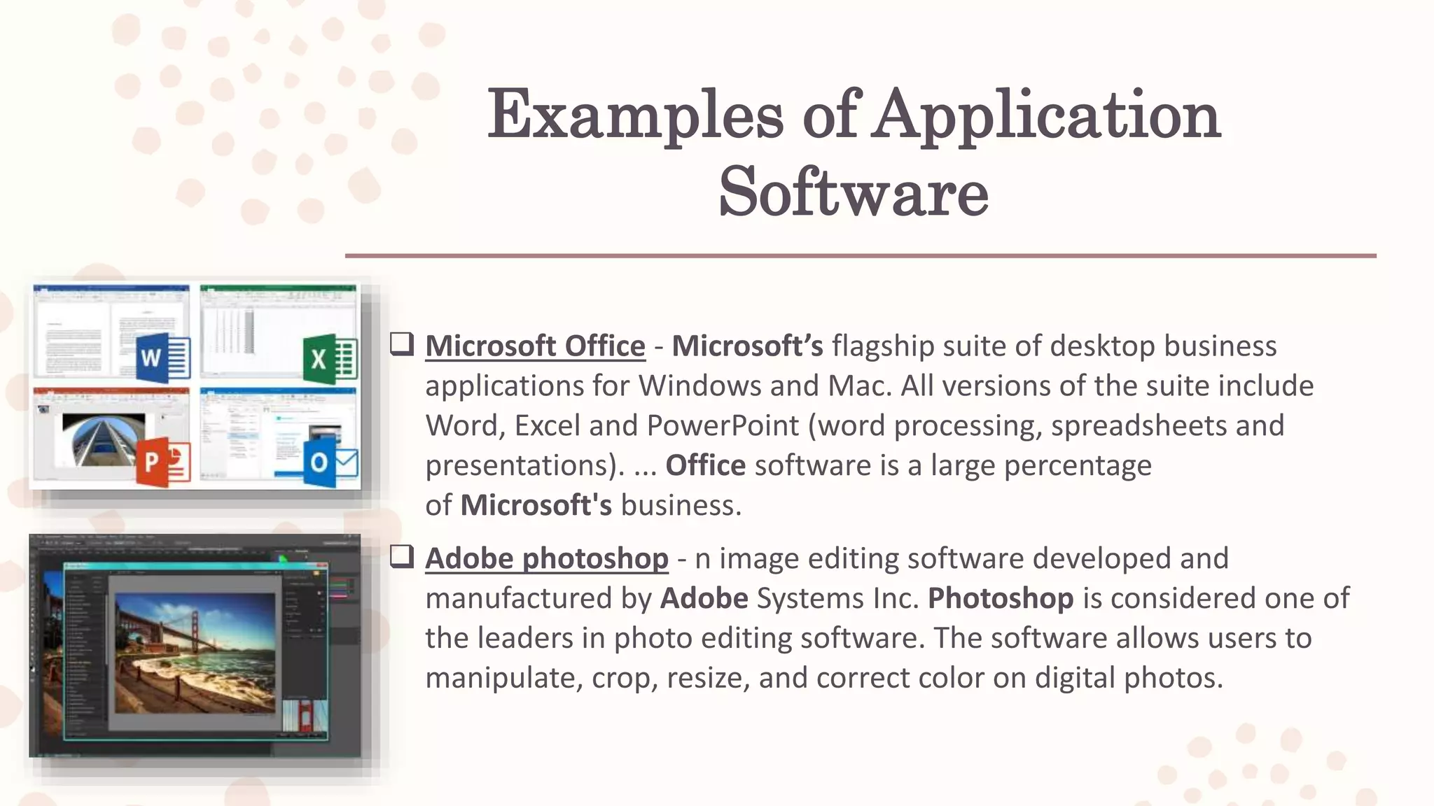 Computer Software | PPTX