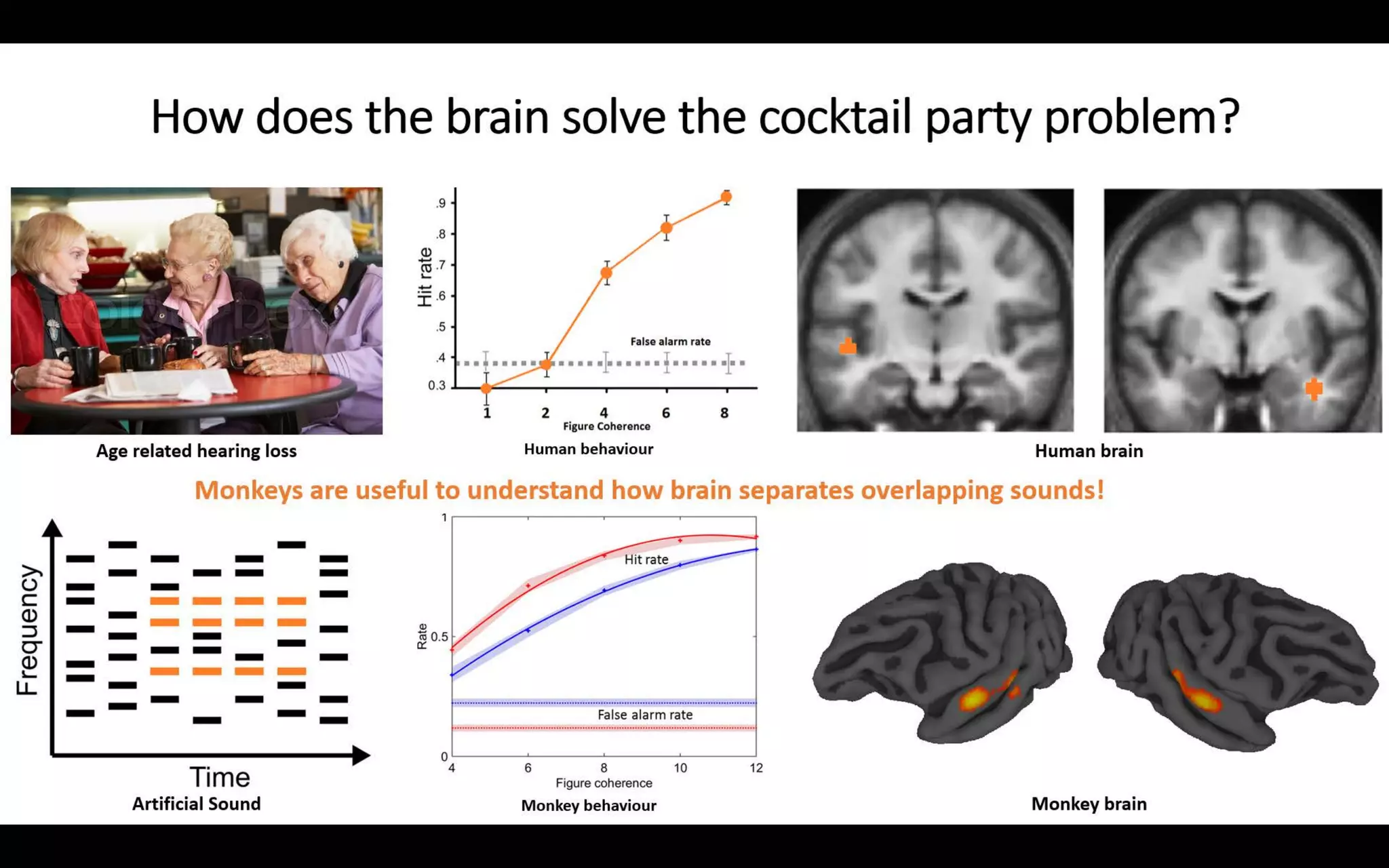 How does the brain solve the cocktail party problem? | PPT
