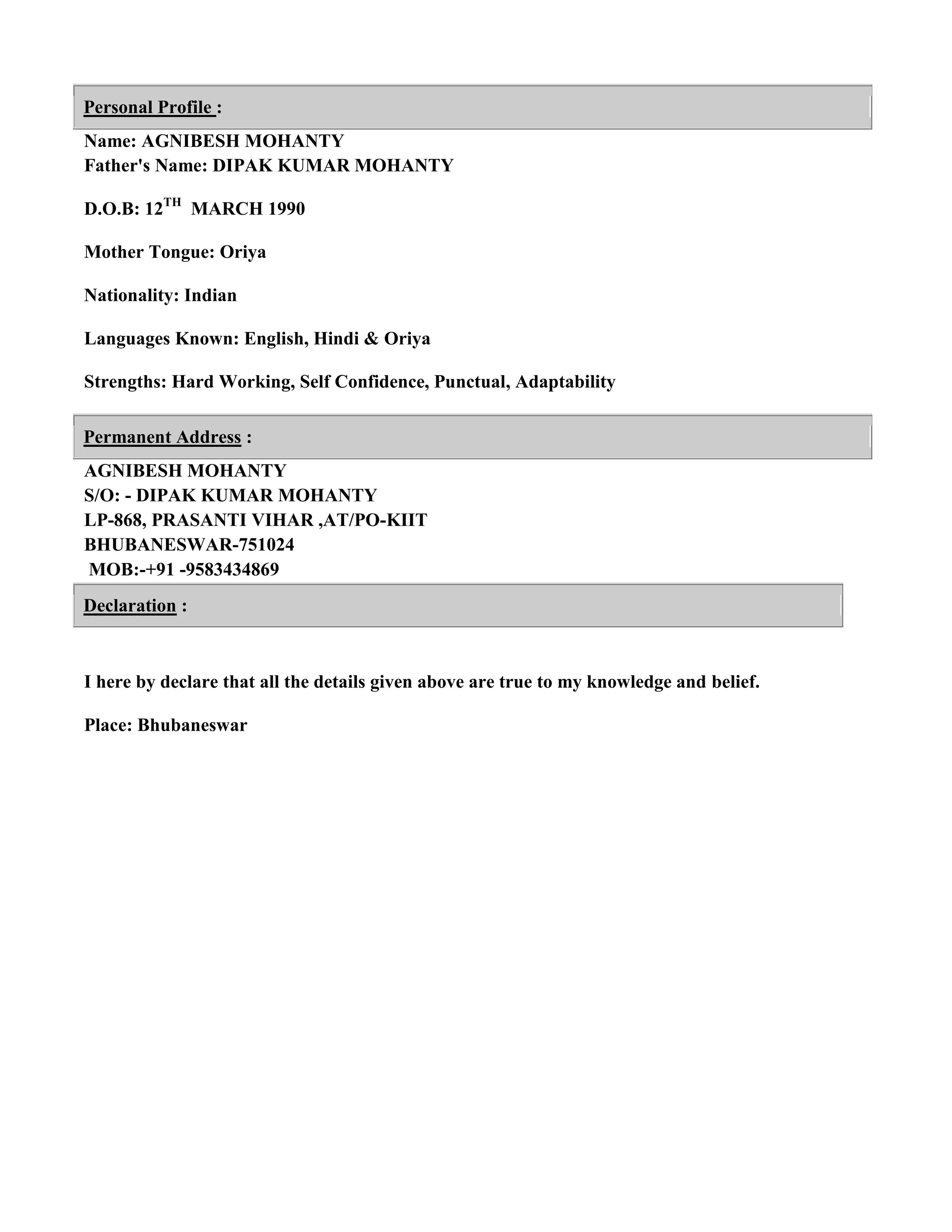 My resume | DOCX