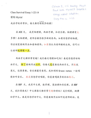 CSG Survival Guides (Two Essay Examples) | PDF